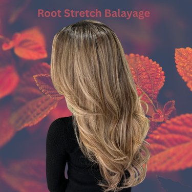 Root Stretch Balayage: Effortless Blonde Transformation – noellesalon